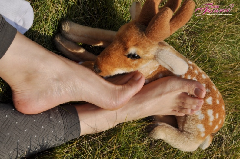 DSC 0986 | （福妹）主题相册